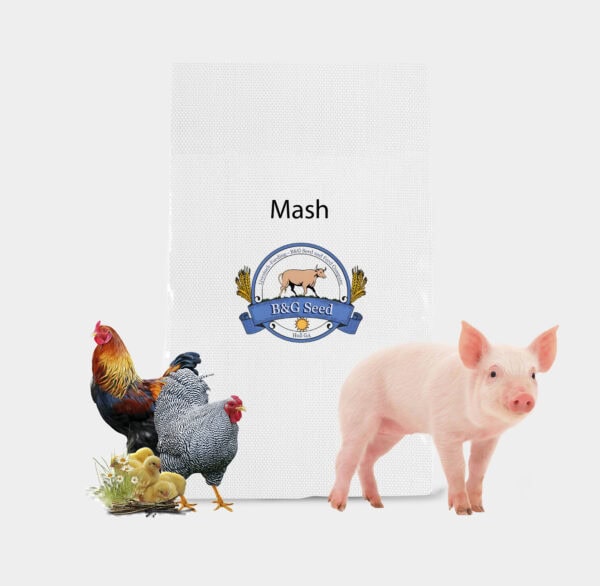 Laying Mash - B&G Seed Company Inc.