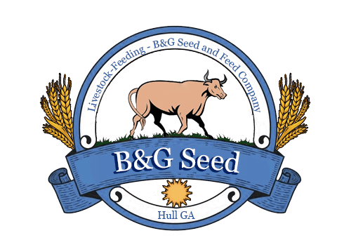 Marshall Ryegrass Seed - B&G Seed Company Inc.