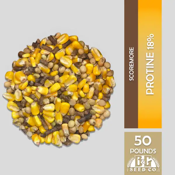 50LB Scoremore Protine 18% - B&G Seed Company Inc.