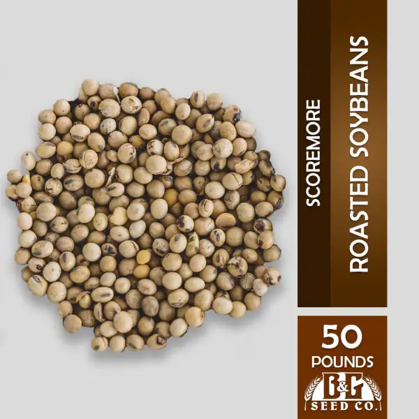 Roasted Soybeans – High Protein Wildlife Feed - B&G Seed Company Inc.